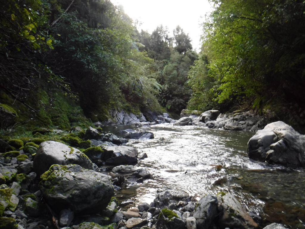 Tramping: South Ohau Hut with Gable End Ridge - Leisure Life Larry