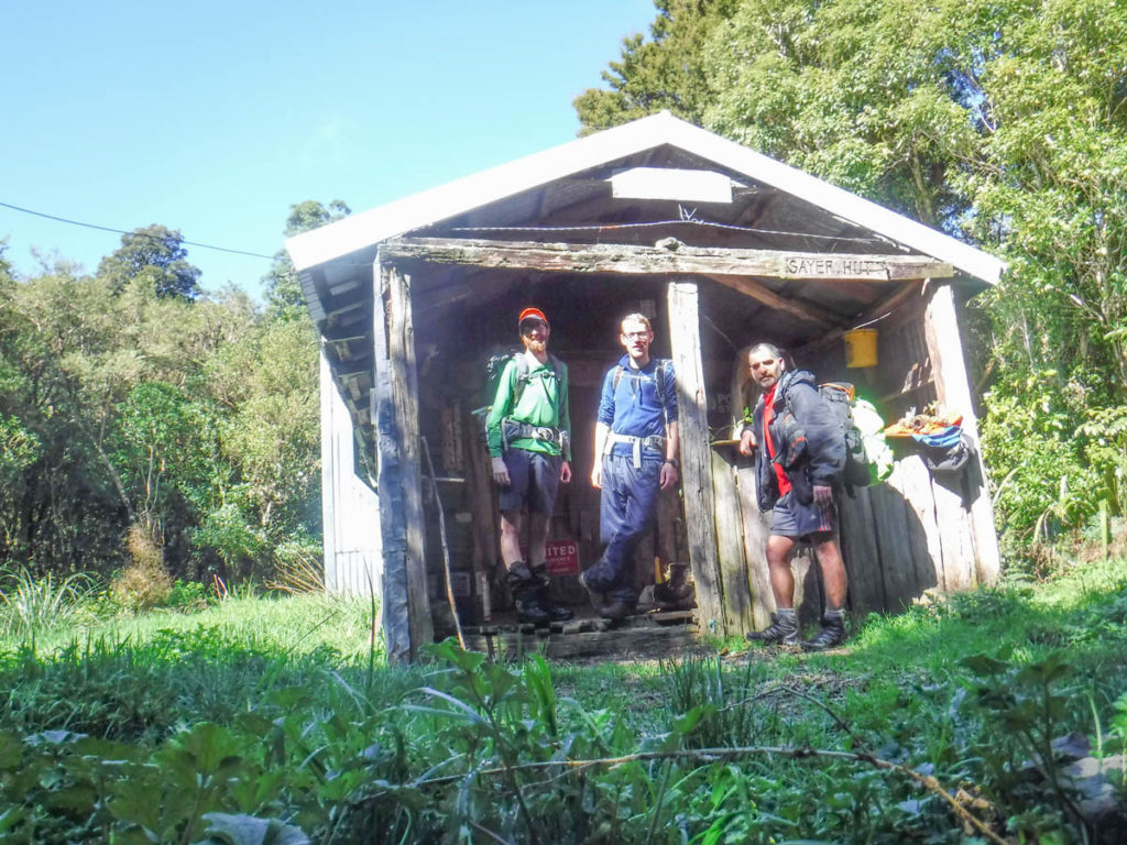 Tramping: Powell and Sayers via Carrington Ridge and the Mangatarere ...