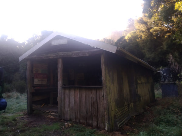Totara Flats via Carrington Ridge, return via Sayers Hut to Mangaterere ...